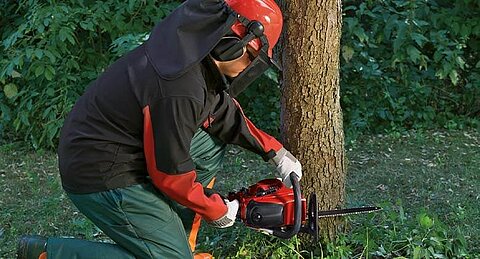 Buy powerful chainsaws from Einhell | Einhell.sk